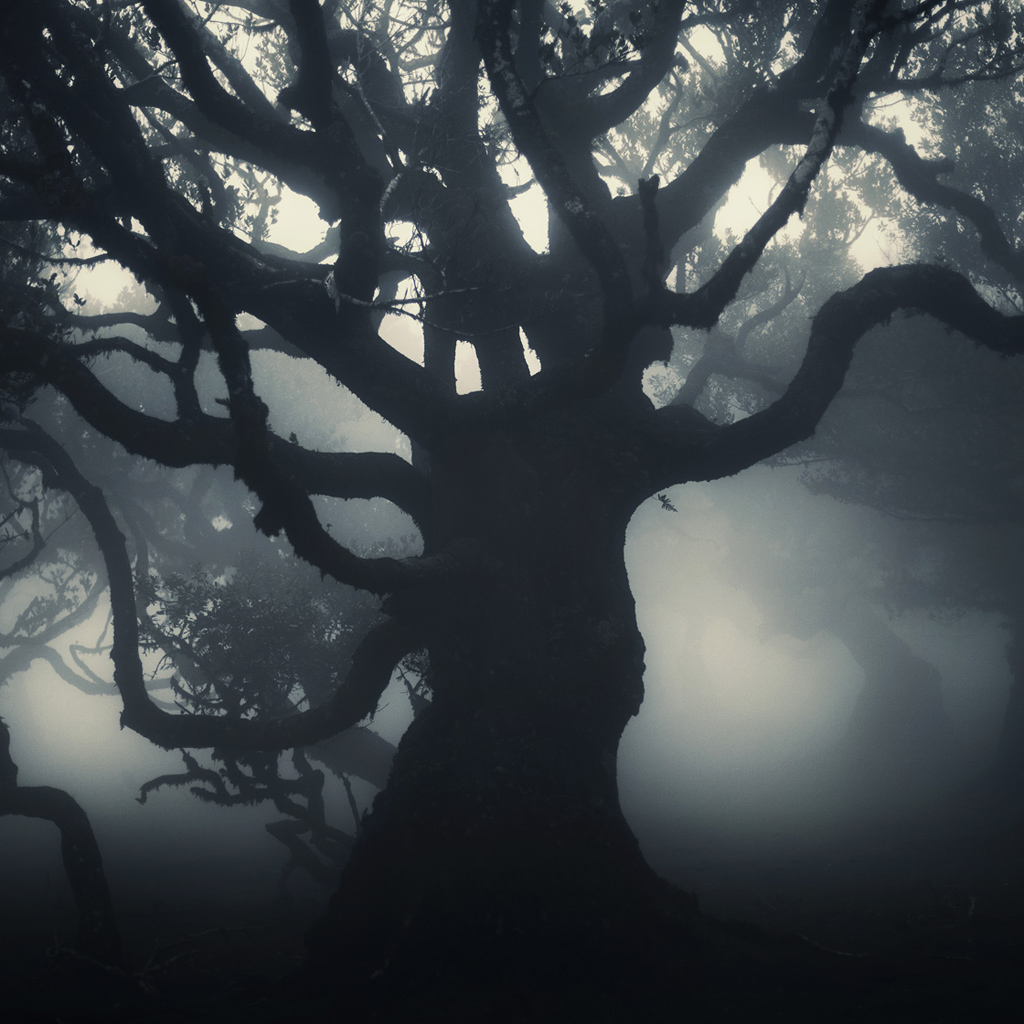 Au Bord de l'Abîme • Alexandre Deschaumes